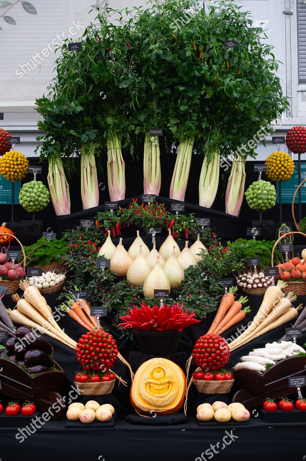 Beautiful Vegetable Display Rhs Chelsea Flower Editorial Stock Photo ...