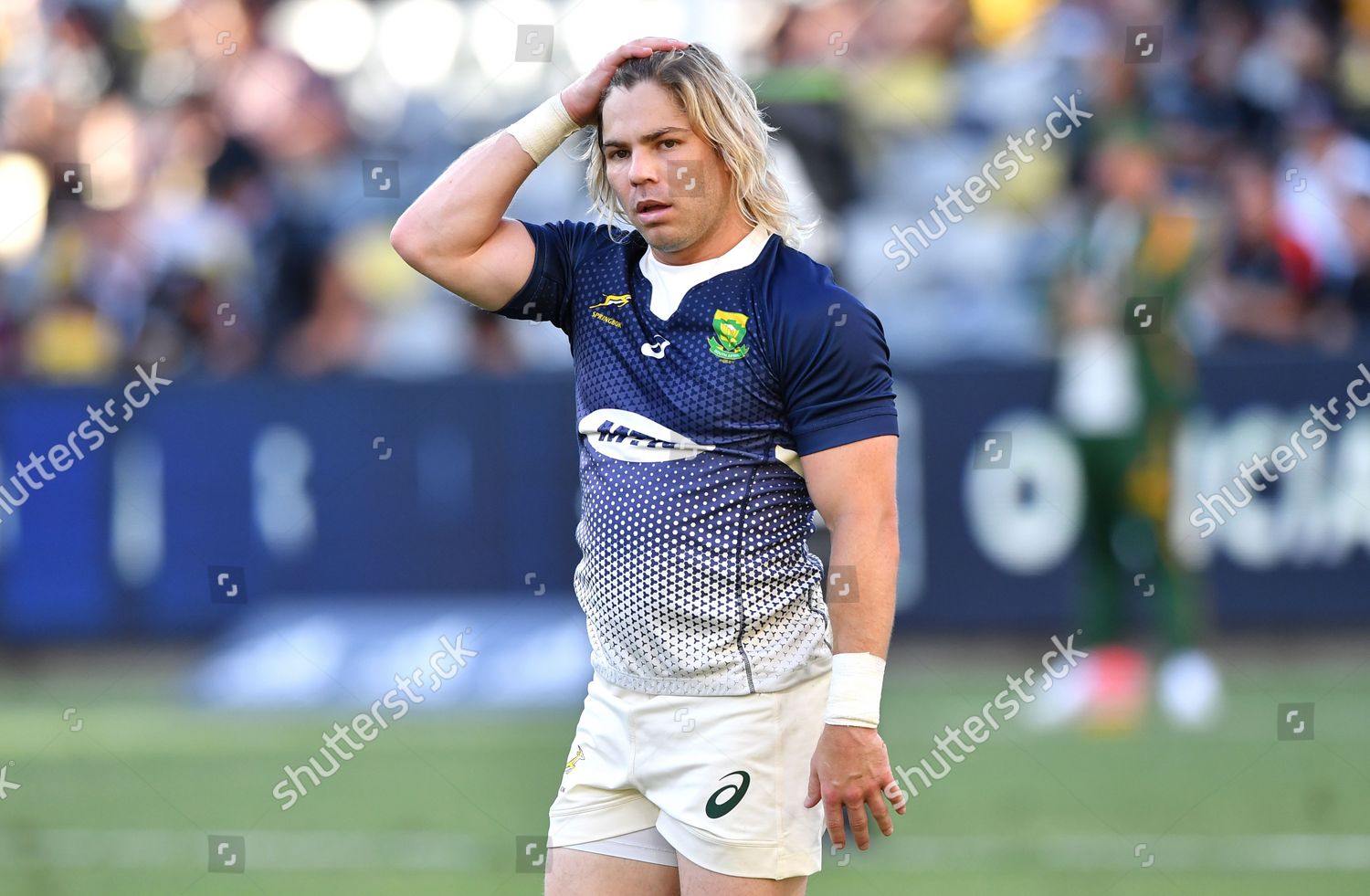 Faf De Klerk Springboks Looks On Editorial Stock Photo - Stock Image ...