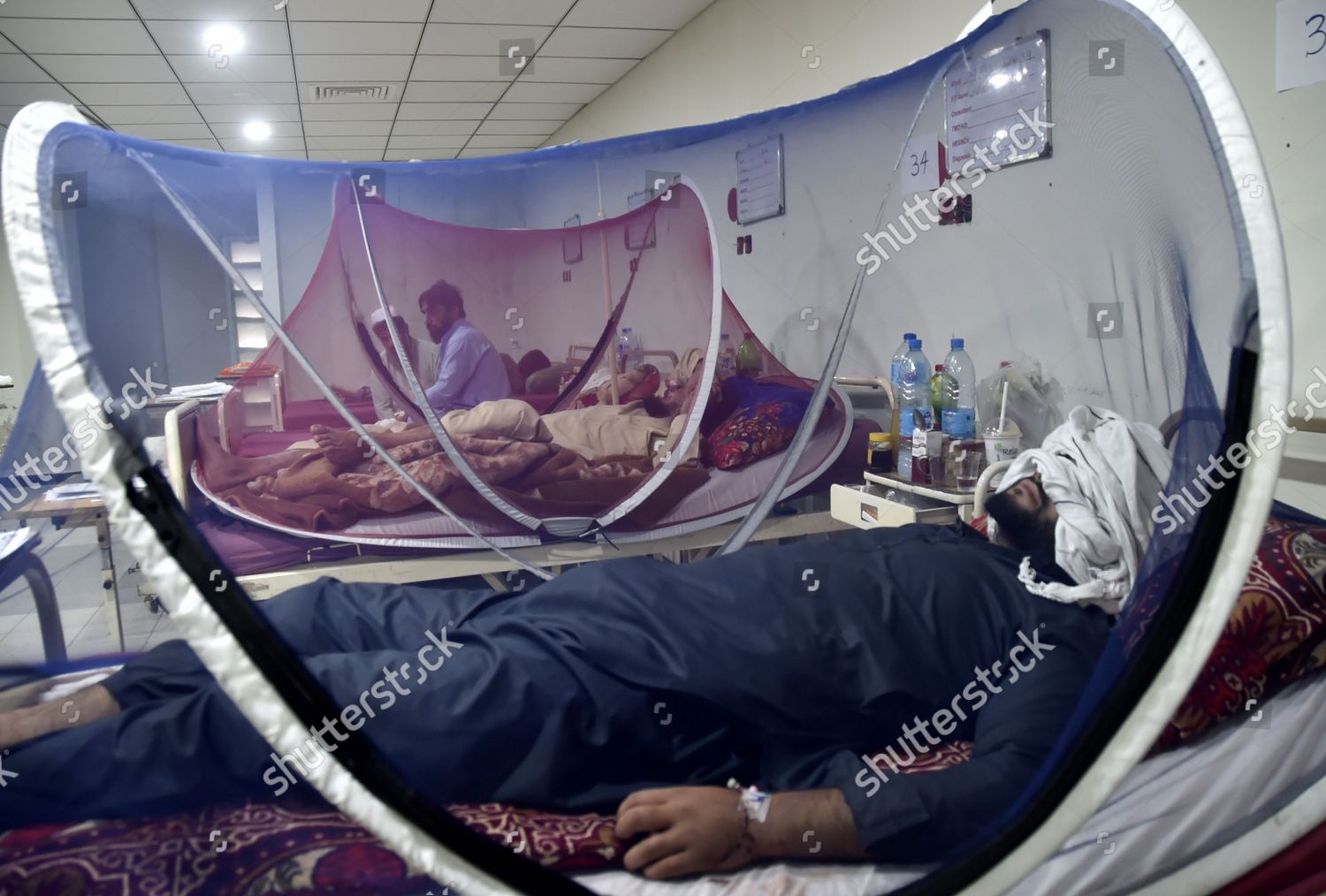 Patients Affected Dengue Fever Treated Inside Editorial Stock Photo ...