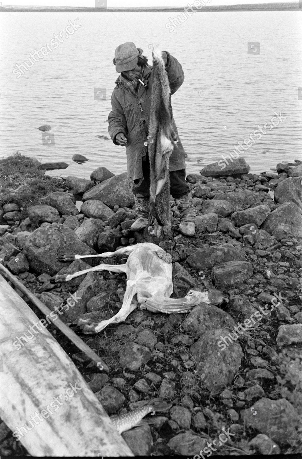 Canadian First Nations Man Skinning Deer Editorial Stock Photo - Stock ...