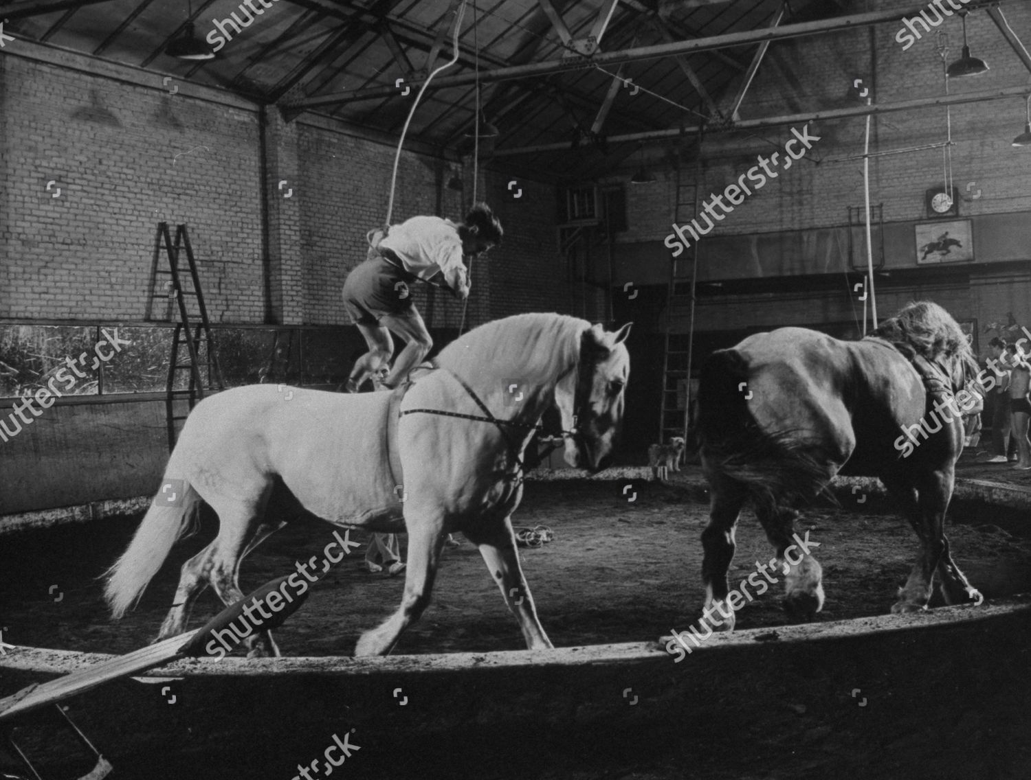 Christiani Family Practicing Their Bareback Riding Editorial Stock ...