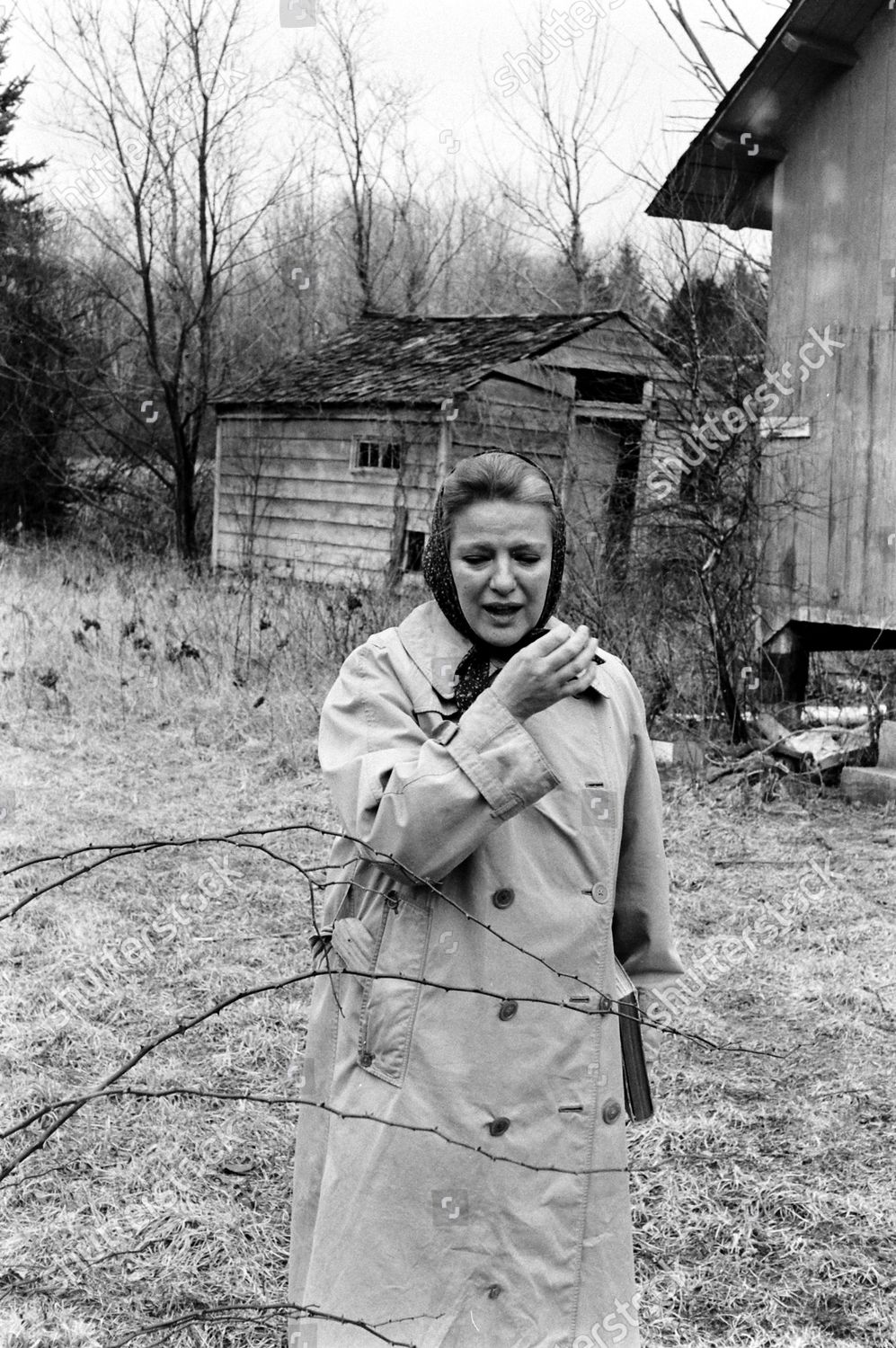 Actress Kim Stanley Standing Next Plants Editorial Stock Photo - Stock ...