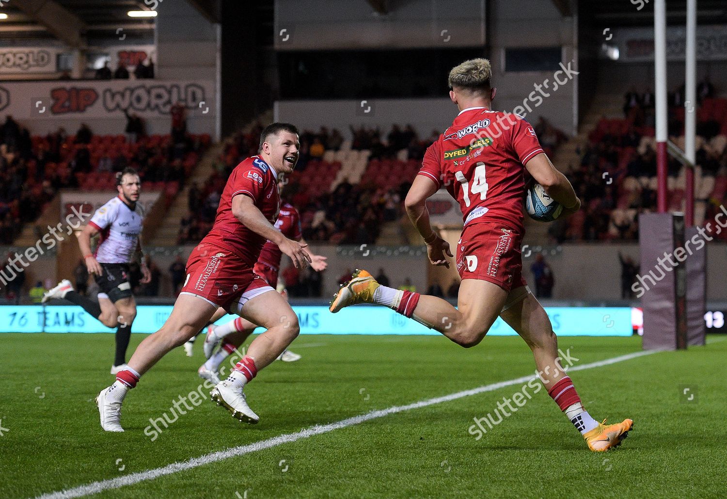Scarlets Vs Emirates Lions Tom Rogers Editorial Stock Photo - Stock ...