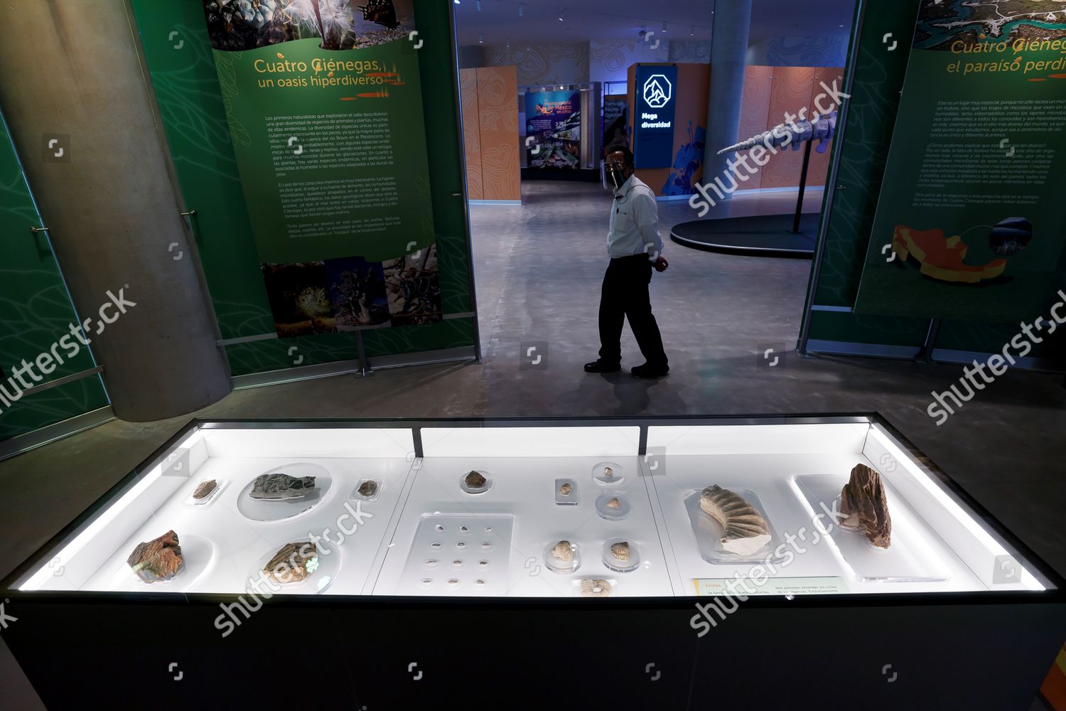 People Visit National Biodiversity Pavilion National Editorial Stock ...