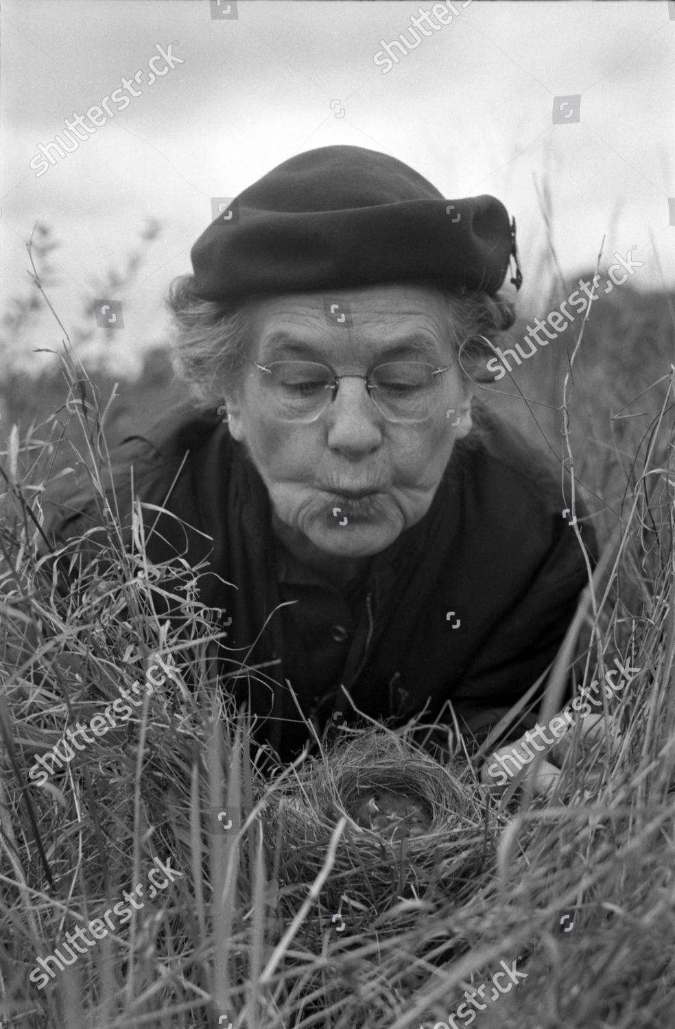 Famous Pic Mrs Margaret Morse Nice Editorial Stock Photo - Stock Image ...