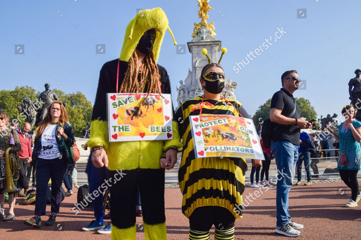 Protesters Dressed Bees Carry Save Bees Editorial Stock Photo - Stock ...