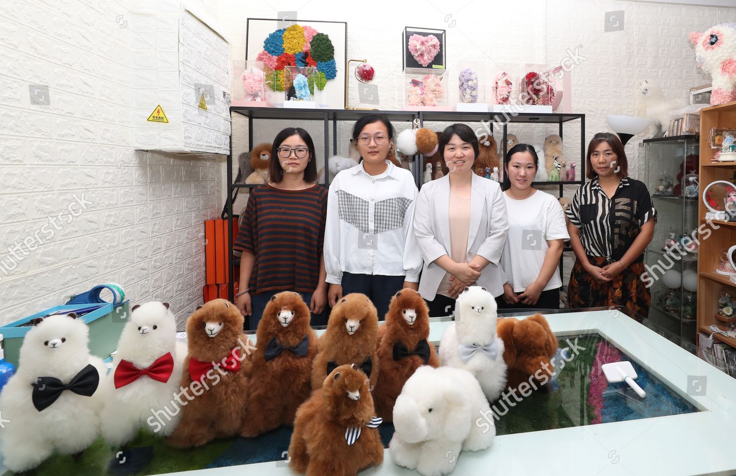 Ma Yuxia C Her Employees Pose Editorial Stock Photo - Stock Image | Shutterstock