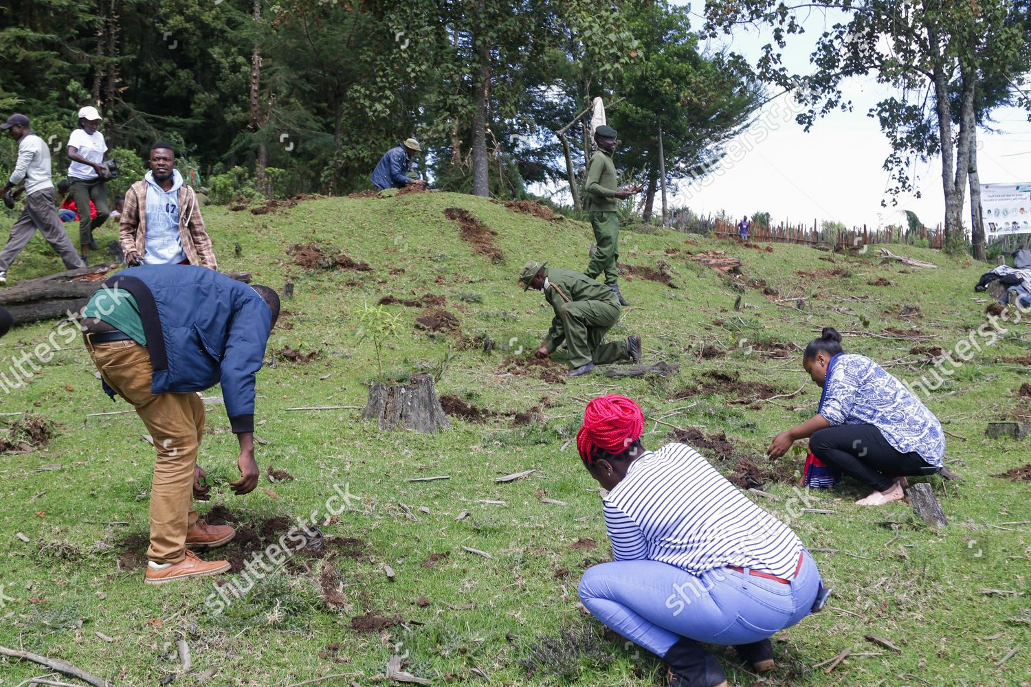 Kenya Forest Service Rangers Supported By Editorial Stock Photo - Stock ...