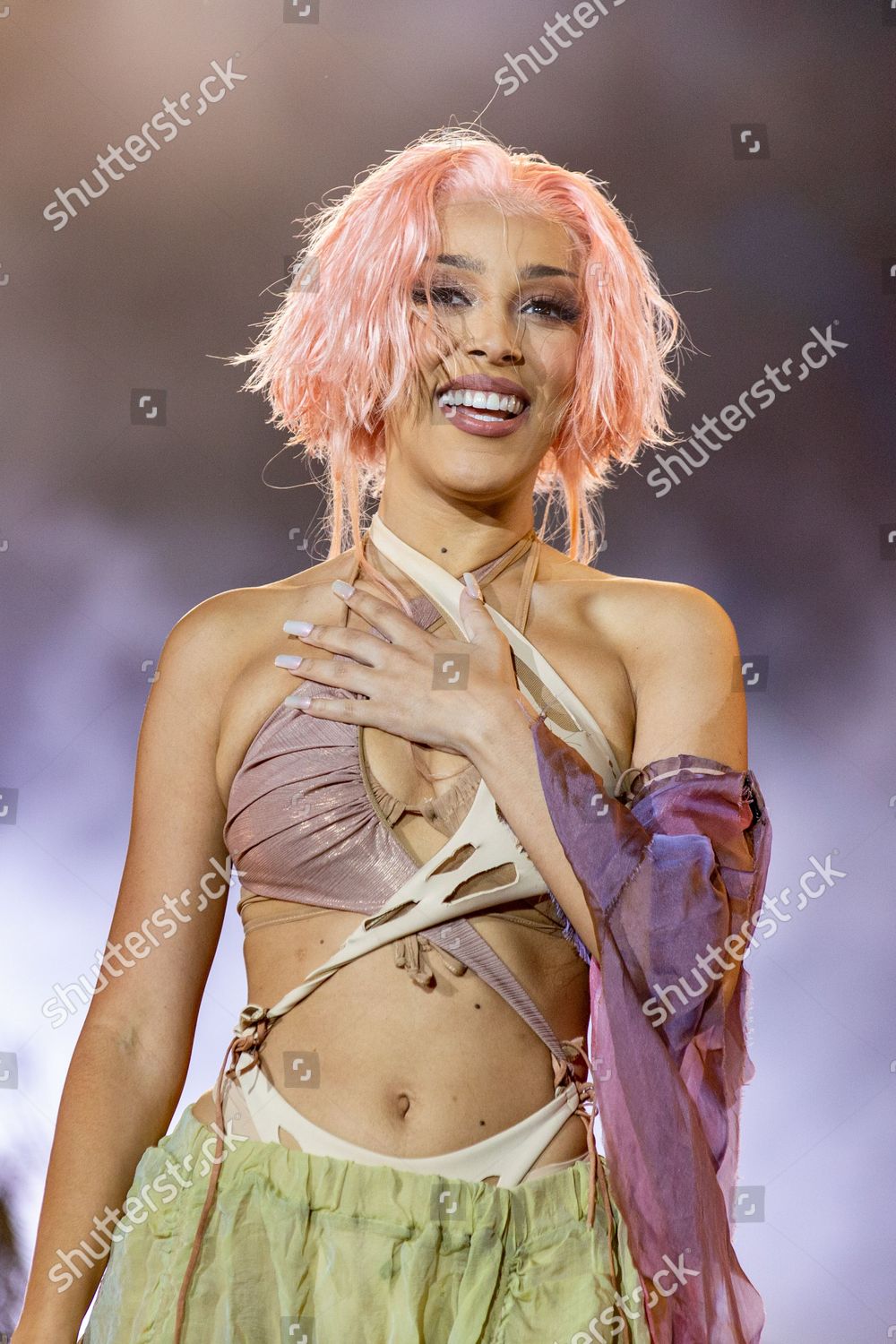 Doja Cat Amala Ratna Zandile Dlamini Editorial Stock Photo - Stock Image | Shutterstock