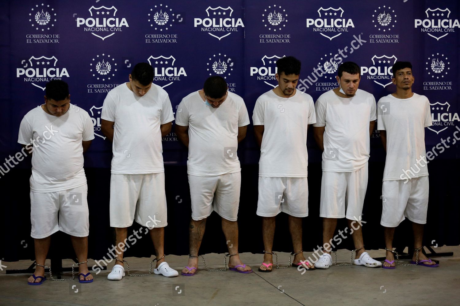 Six Gang Members Linked Increase Homicides Editorial Stock Photo ...