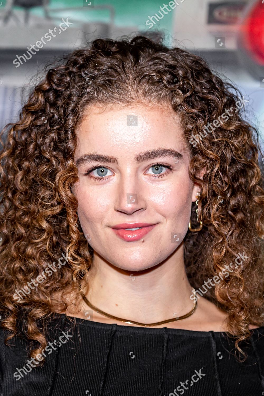 Dianne Van Den Eng During Walkin Editorial Stock Photo - Stock Image ...