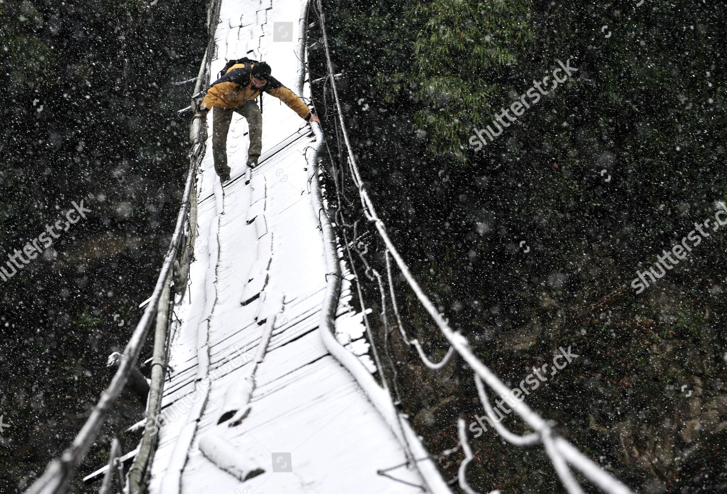 Brave Villager Tries Cross Broken Bridge Editorial Stock Photo - Stock ...