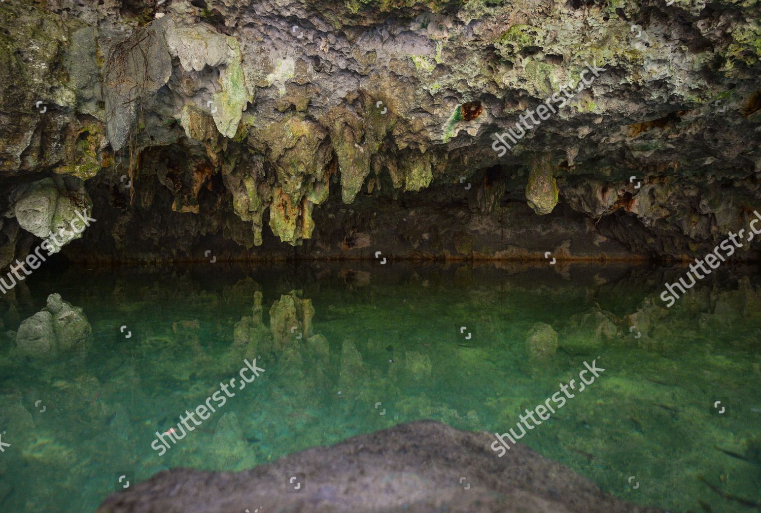 Cenote Isla Alamo Located Vicinity Tulum Editorial Stock Photo - Stock ...