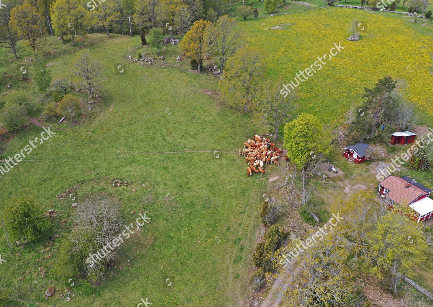 Sevedstorp Bullerbyn Bullerbyn Place Where Astrid Editorial Stock Photo ...