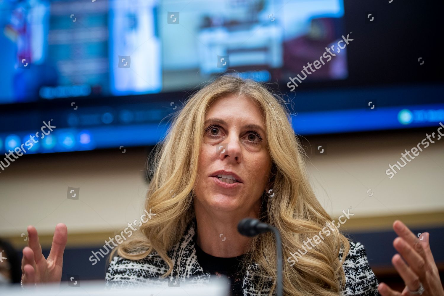 Denelle Dixon Ceo Executive Director Stellar Editorial Stock Photo ...