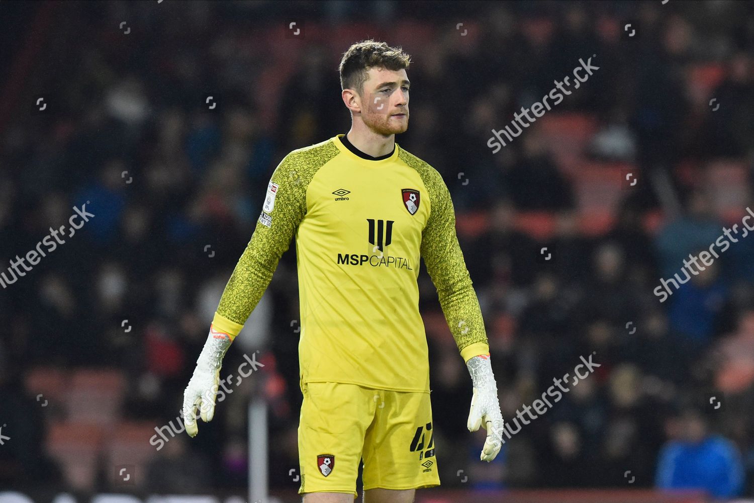 Mark Travers 42 Afc Bournemouth During Editorial Stock Photo - Stock ...