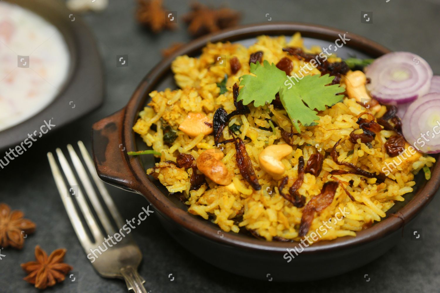Chicken Dum Biryani Toronto Ontario Canada Editorial Stock Photo ...
