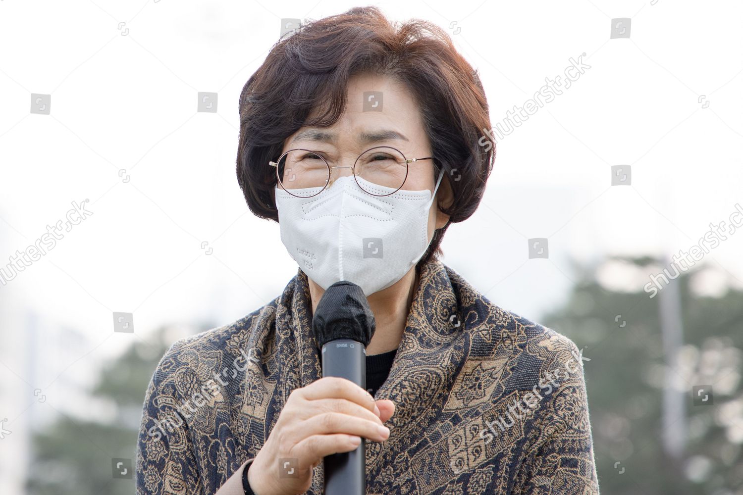 Kim Sanghee Deputy Speaker 21st National Editorial Stock Photo - Stock Image | Shutterstock