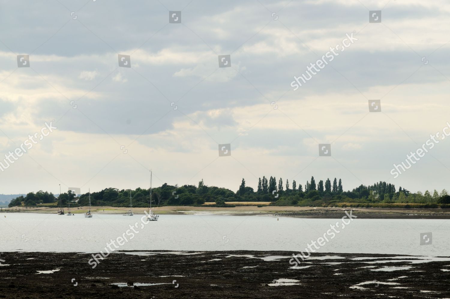 View Osea Island On River Blackwater Editorial Stock Photo - Stock ...