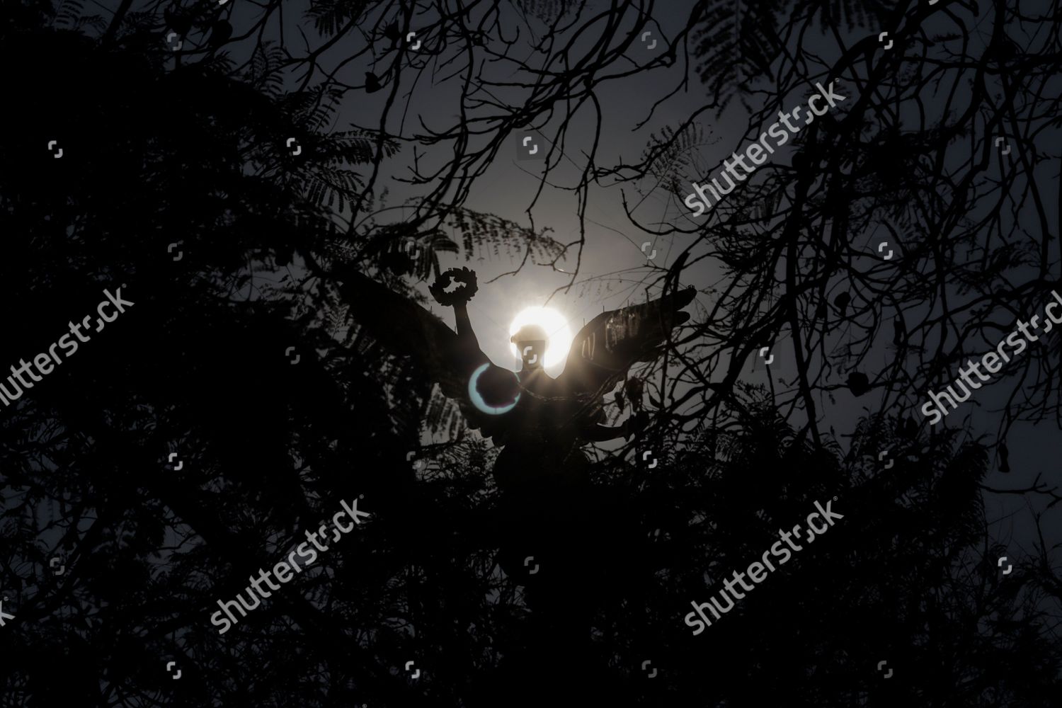 Backlit View Angel Independence Between Branches Editorial Stock Photo ...
