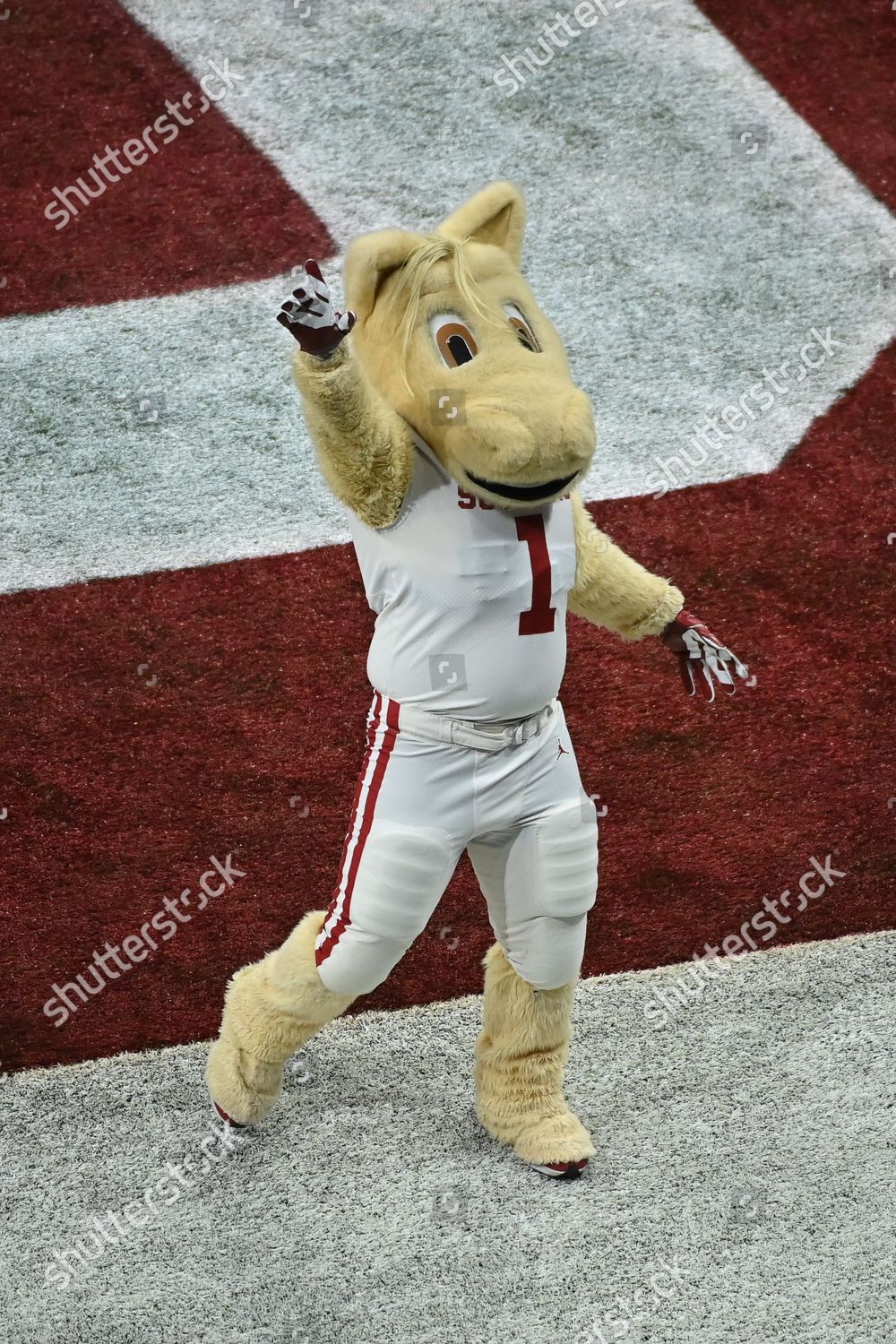 Oklahoma Sooners Mascot Sooner Performing During Editorial Stock Photo ...