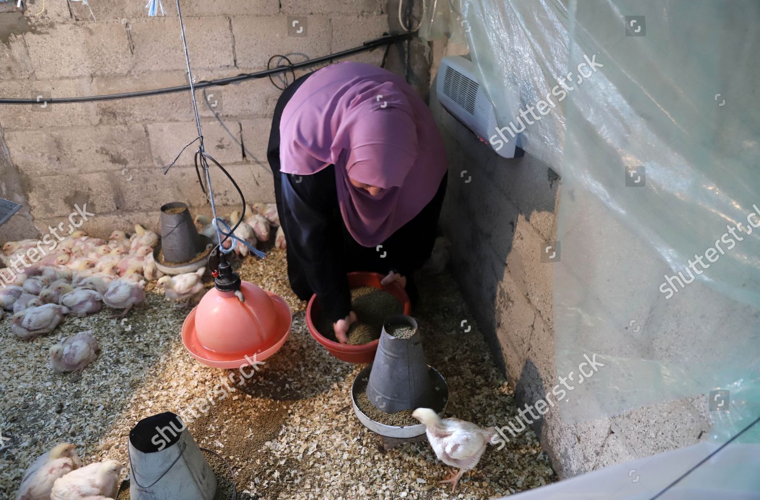 Palestinian Engineer Tasneem Abu Halima 28 Editorial Stock Photo - Stock Image | Shutterstock