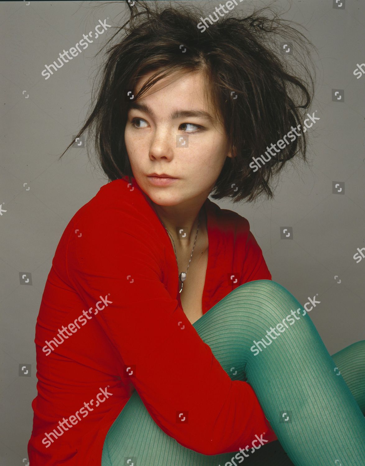 Bjork Editorial Stock Photo - Stock Image | Shutterstock