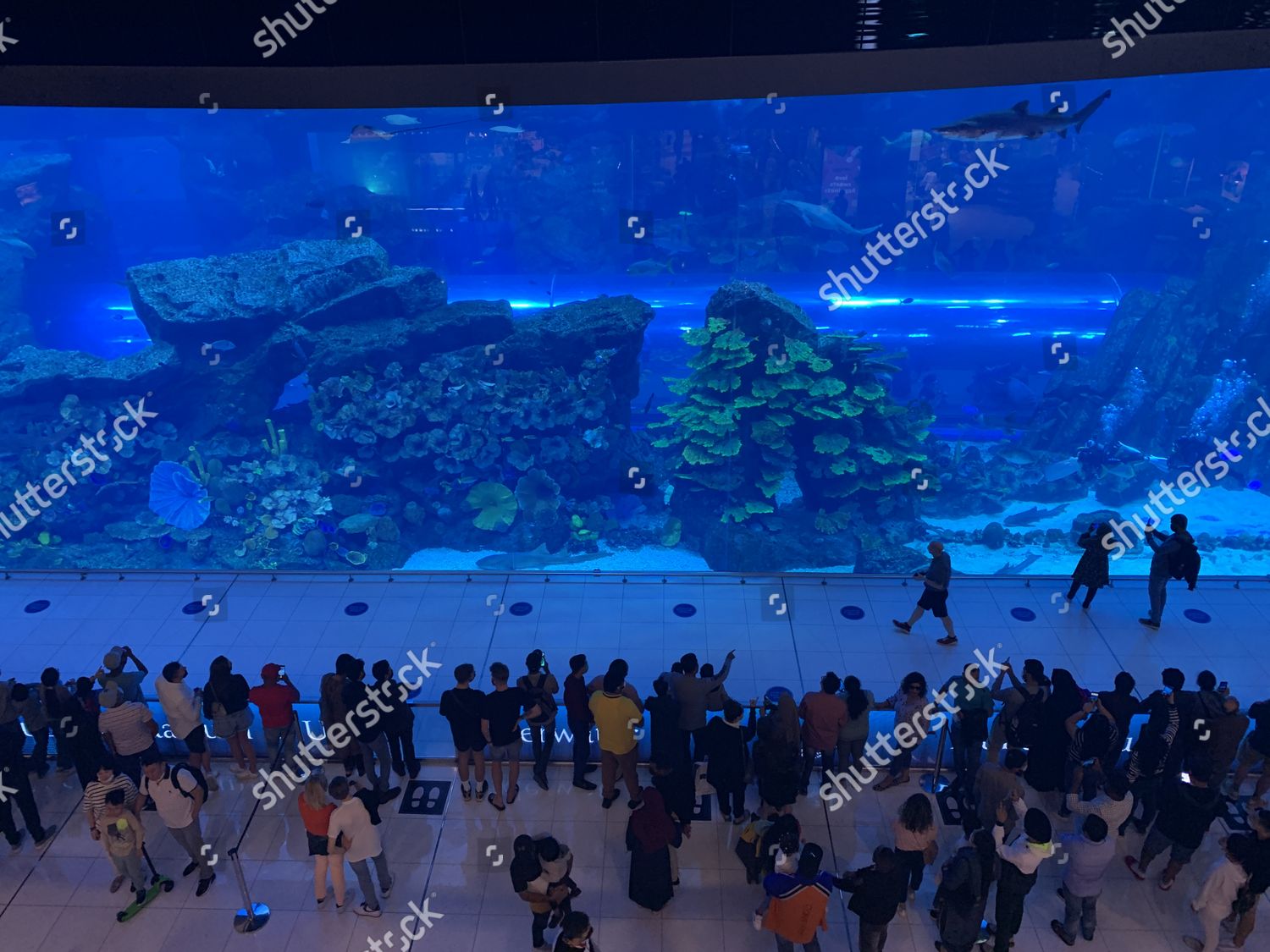 Dubai Jbr Dubai Shopping Mall Editorial Stock Photo - Stock Image ...