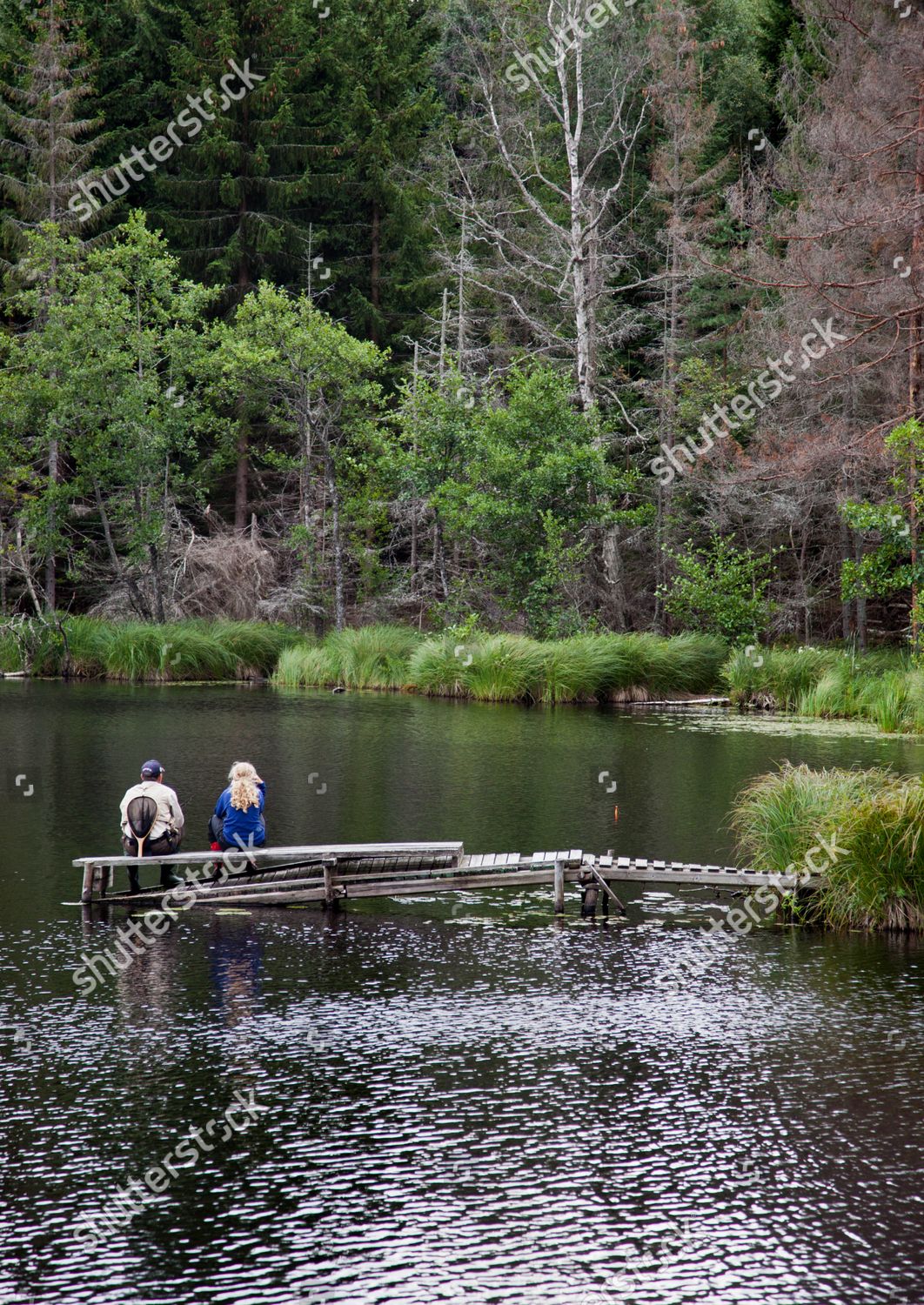 Fishing Forest Lake Editorial Stock Photo - Stock Image | Shutterstock