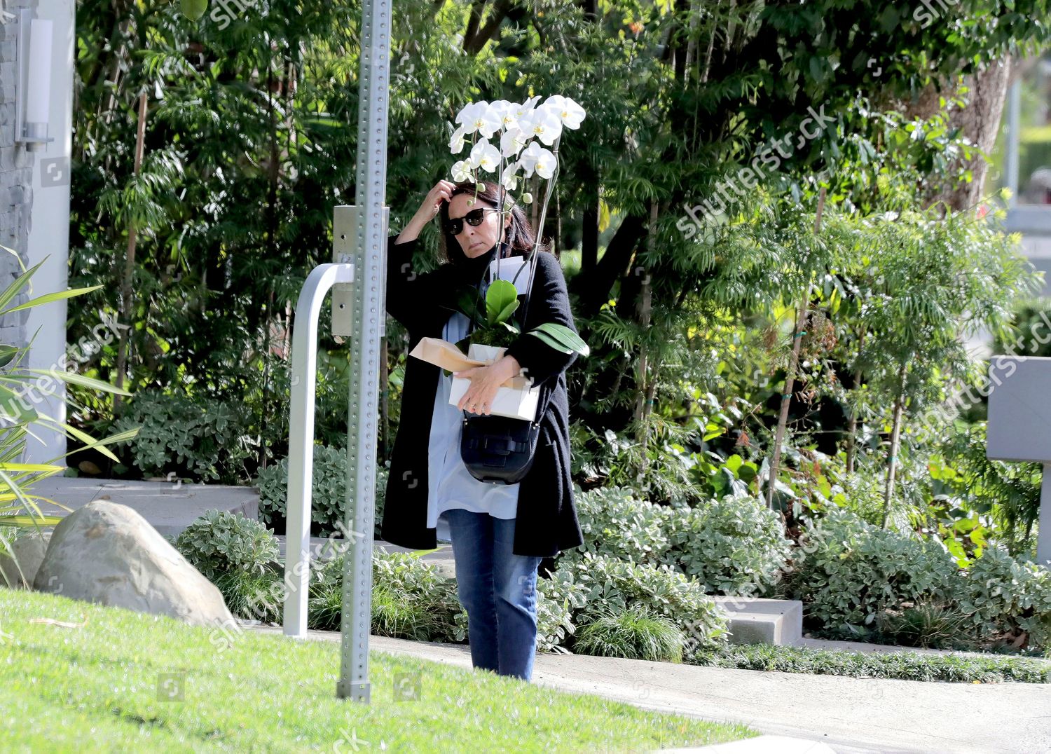 Sherri Kramer Exwife Bob Saget Delivers Editorial Stock Photo - Stock ...