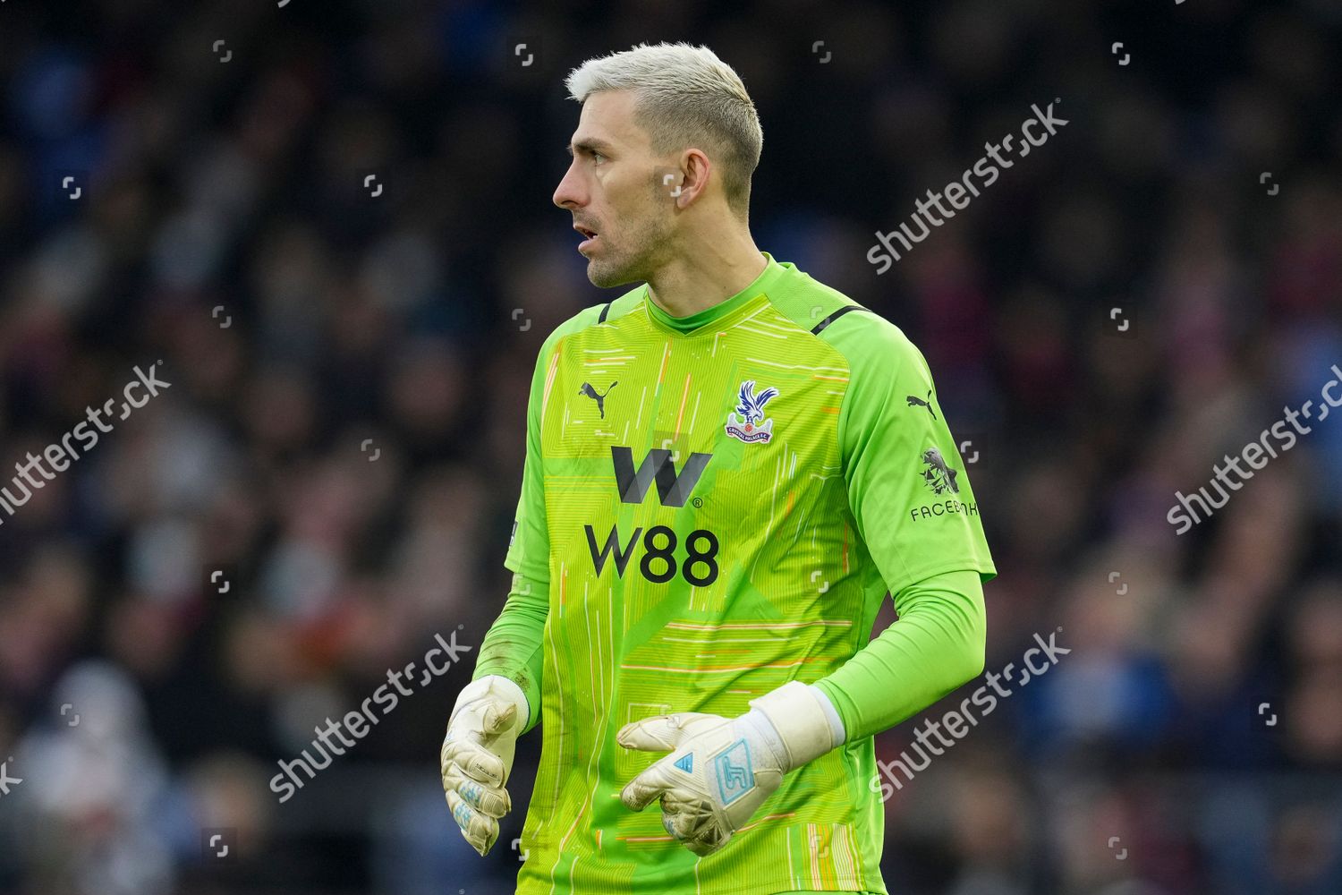 Crystal Palace Goalkeeper Vicente Guaita 13 Editorial Stock Photo ...