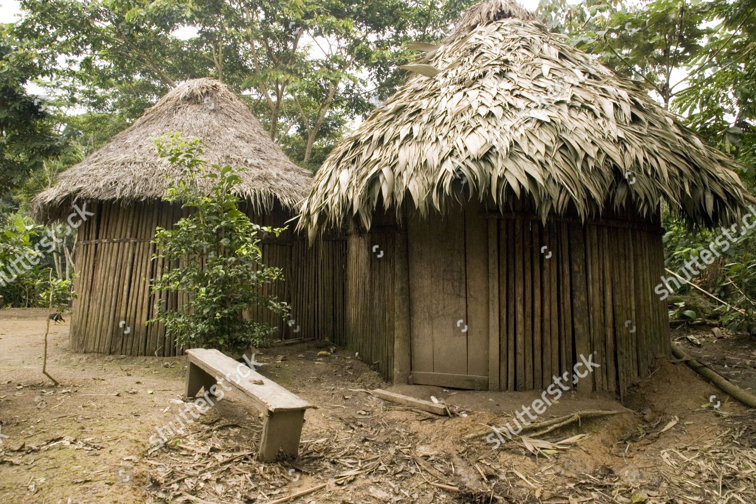 Traditional Shuar Houses Amazon Basin Pastaza Editorial Stock Photo ...