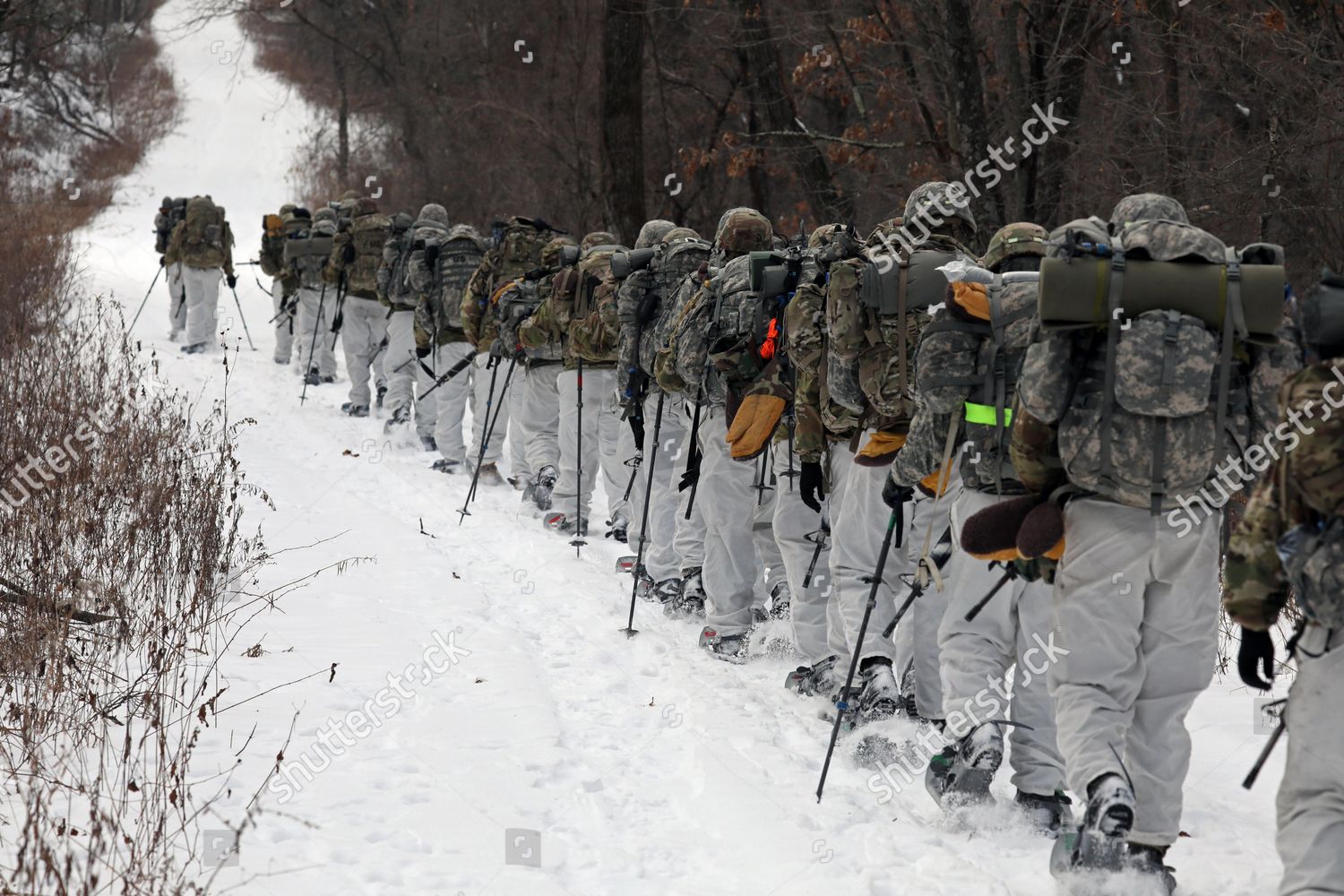 Us Army Cadets Snowshoe Bivouac Site Editorial Stock Photo - Stock ...
