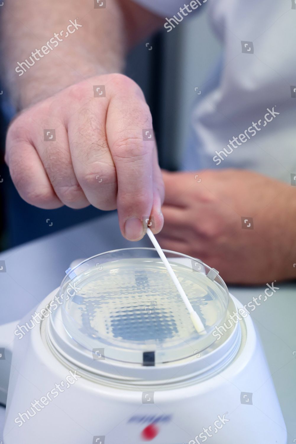 Biocollector Agar Sampling Swab Measurement Sarscov2 Editorial Stock ...