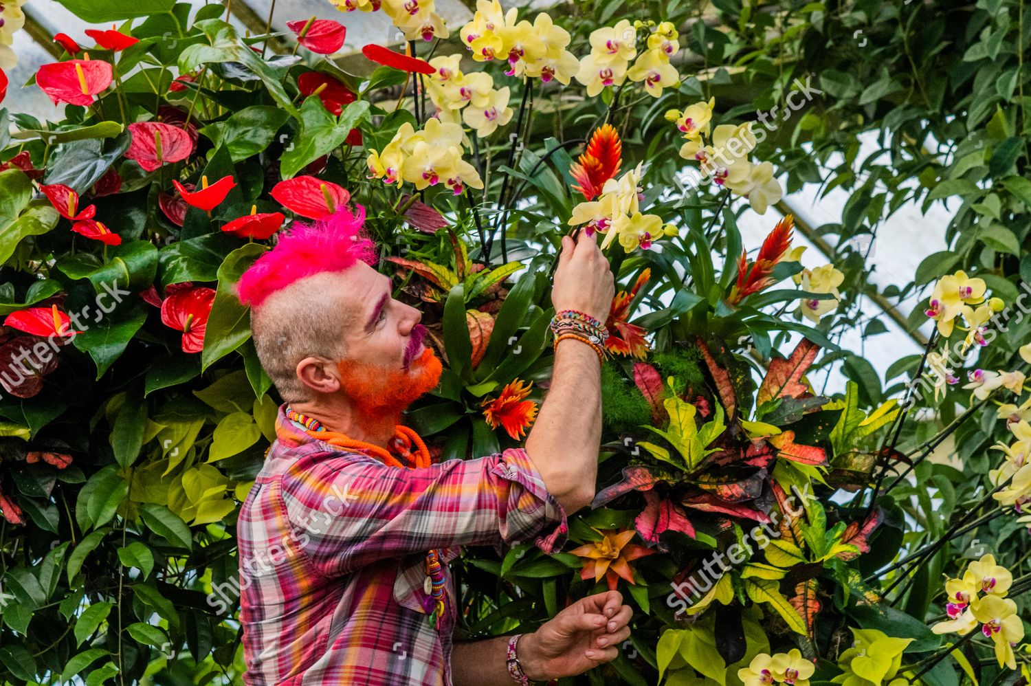 Henck Roling House Florist Makes Final Editorial Stock Photo - Stock ...