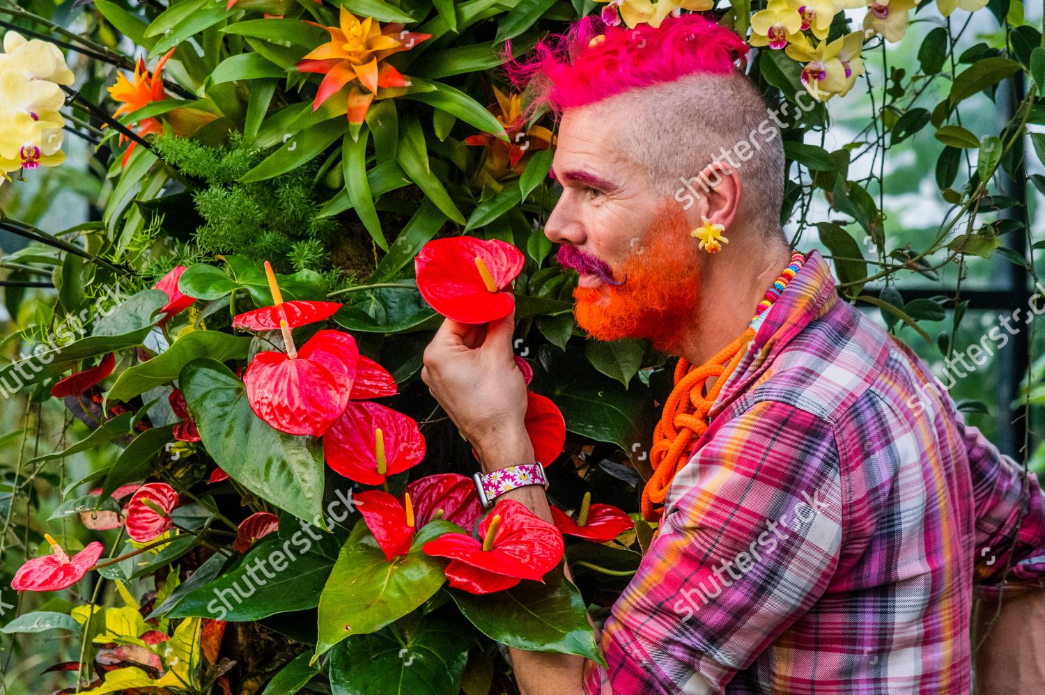 Henck Roling House Florist Makes Final Editorial Stock Photo - Stock ...