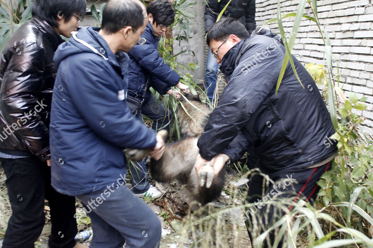 Zoo Staff Forestry Commission Officers Put Editorial Stock Photo ...