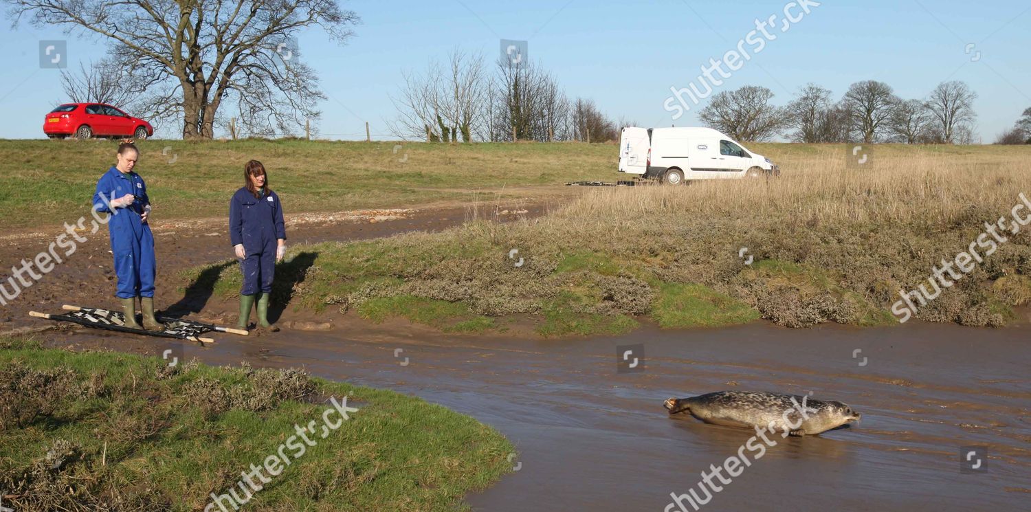 Rspca Officers Jo Mead Kate Price Editorial Stock Photo - Stock Image ...