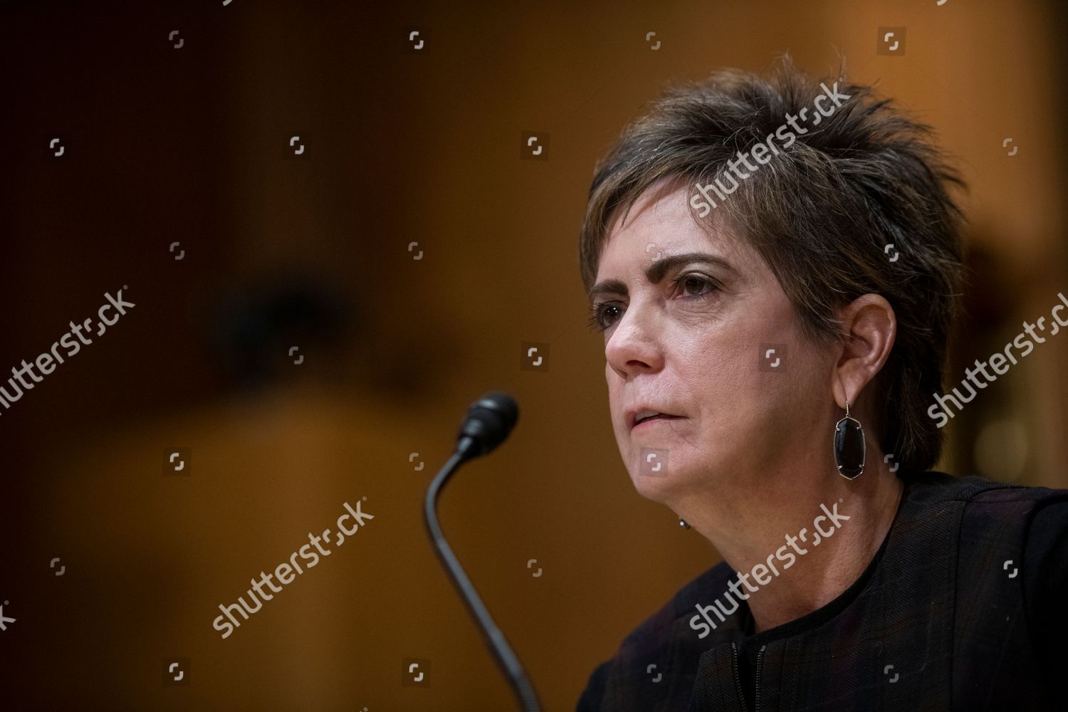 Jan Lewis Chair Tax Executive Committee Editorial Stock Photo - Stock ...