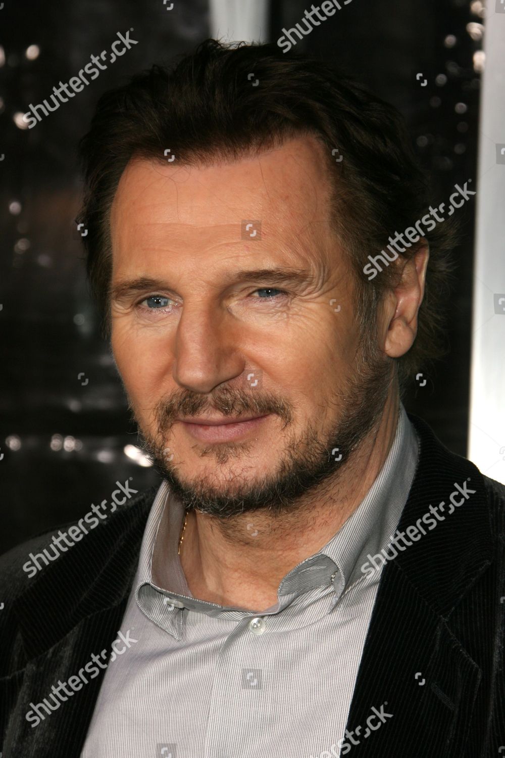 Liam Neeson Editorial Stock Photo - Stock Image | Shutterstock