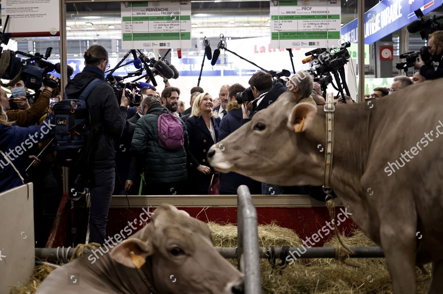 Rassemblement National Rn Party Candidate French Editorial Stock Photo ...