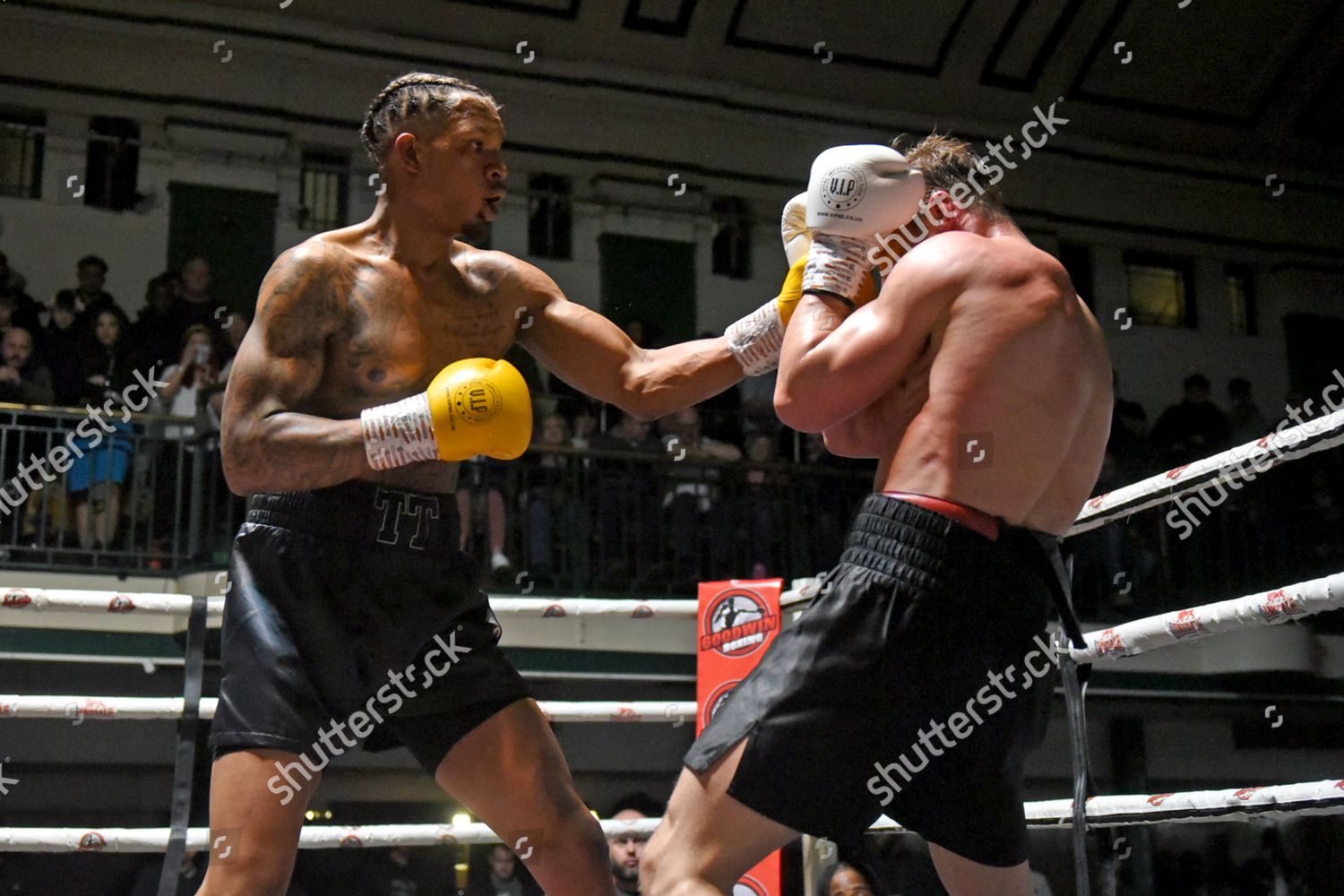 Timon Douglin Yellow Gloves Defeats Harry Editorial Stock Photo - Stock ...