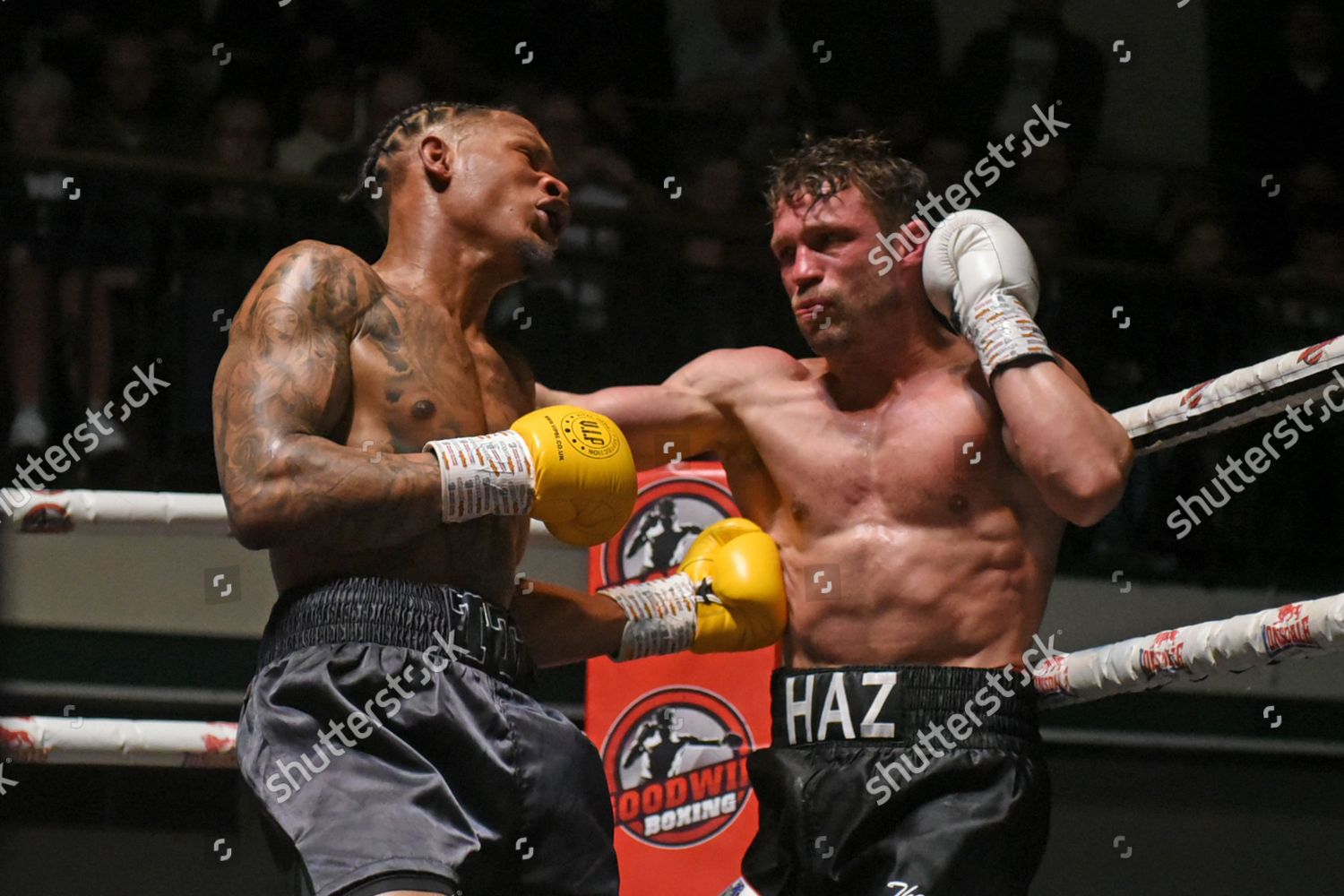 Timon Douglin Yellow Gloves Defeats Harry Editorial Stock Photo - Stock ...