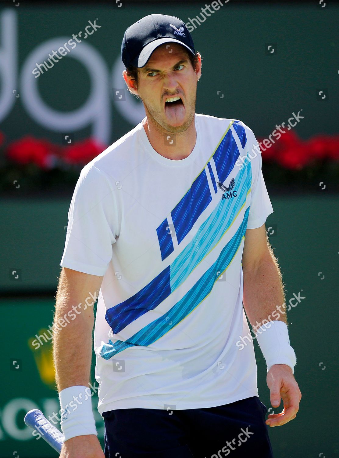 Andy Murray Gbr Sticks His Tongue Editorial Stock Photo - Stock Image ...