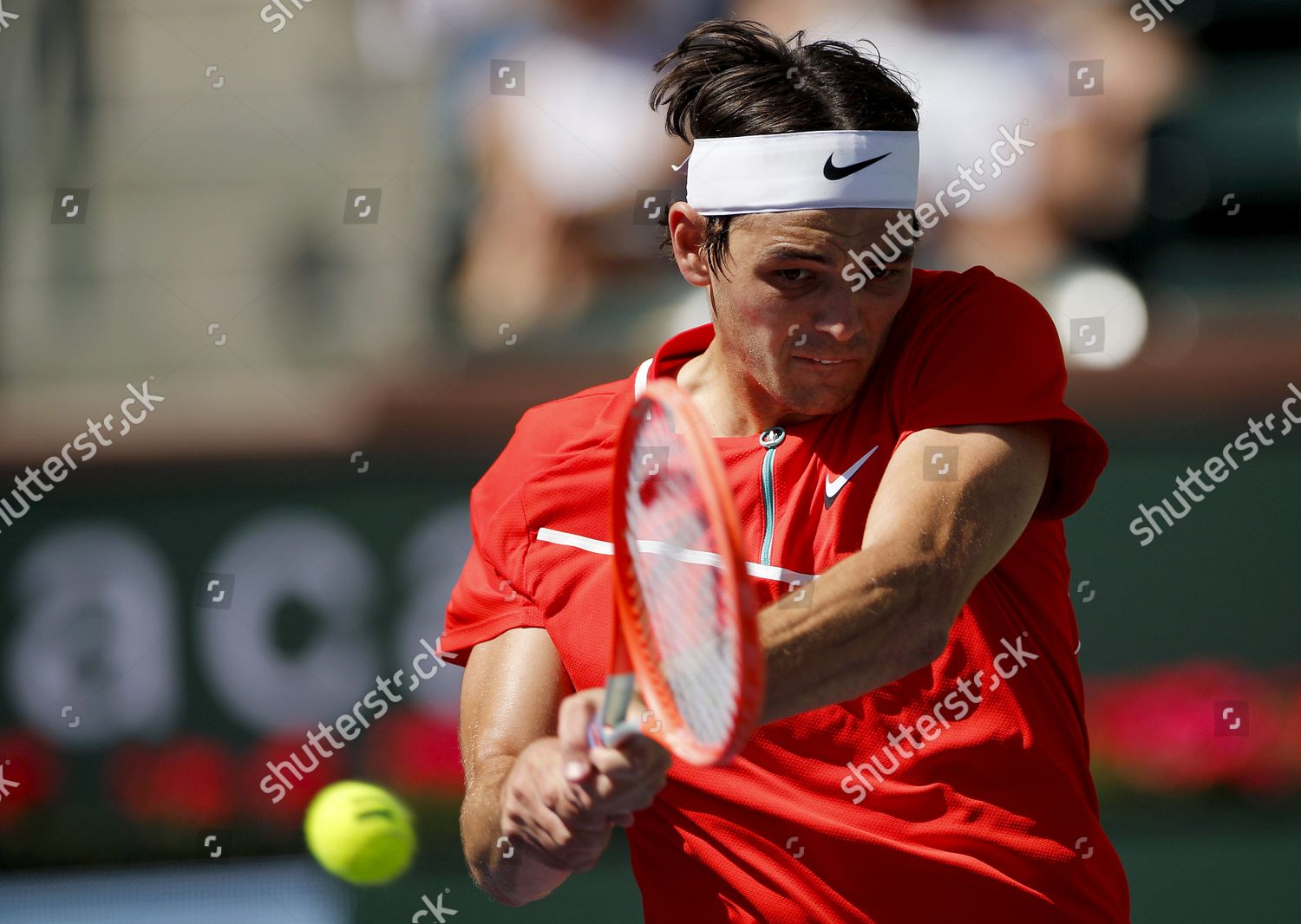 Taylor Fritz Usa Action Editorial Stock Photo - Stock Image | Shutterstock