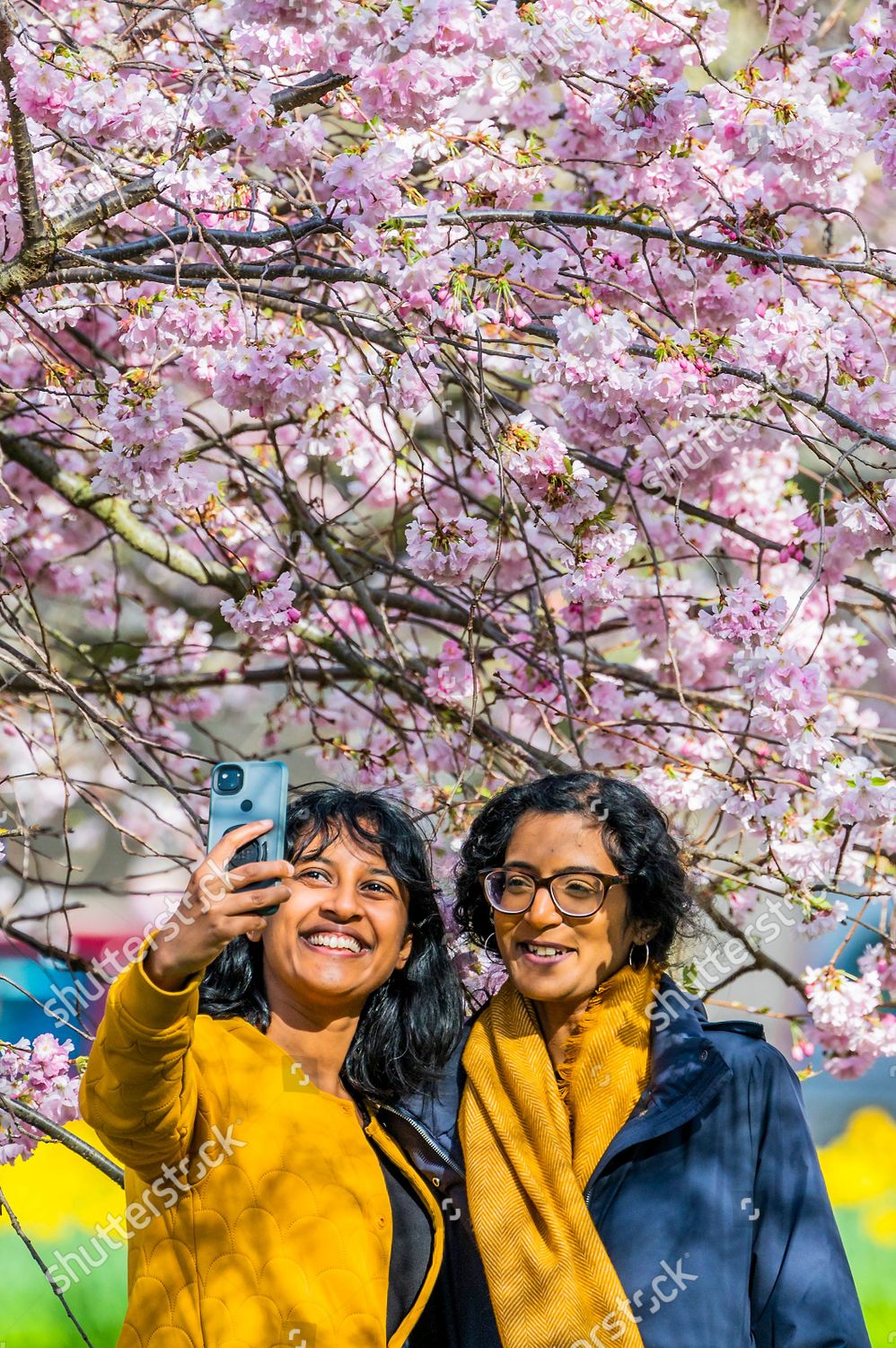 People Enjoy Spring Blossom Which Full Editorial Stock Photo - Stock ...