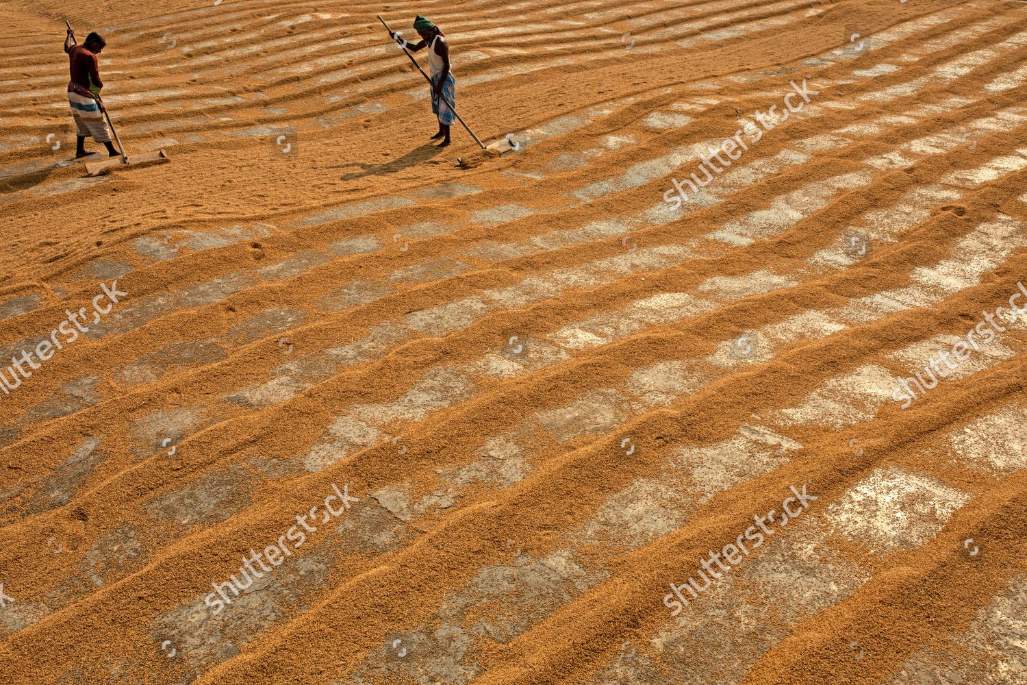People Work Rice Processing Mill Munshiganj Editorial Stock Photo ...