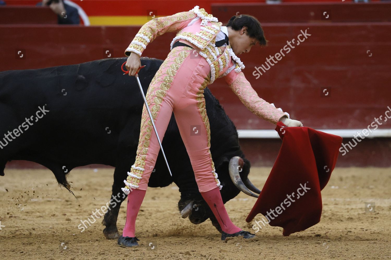 Peruvian Bullfighter Andres Roca Rey Fights Editorial Stock Photo ...