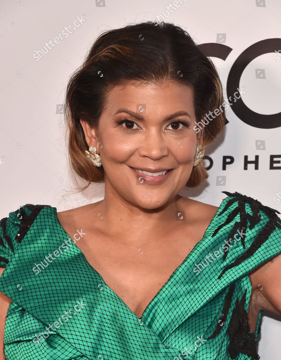 AIDA RODRIGUEZ ATTENDS 7TH ANNUAL HOLLYWOOD Editorial Stock Photo ...