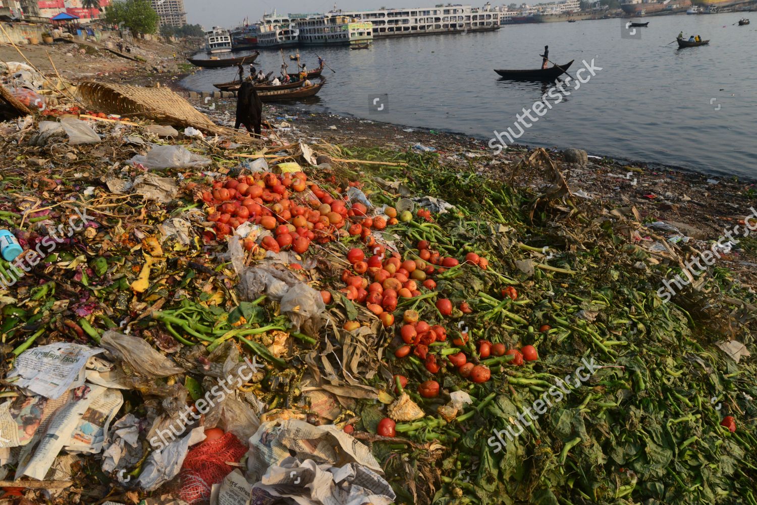 Water Pollution By Human Waste Dumped Editorial Stock Photo - Stock ...